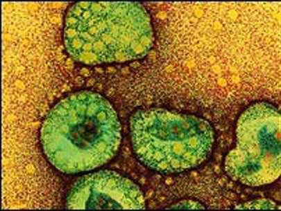 Nguy cơ bùng phát đại dịch SARS rất thấp - Tuổi Trẻ Online